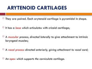Anatomy of larynx, LARYNGEAL CARTILAGES, | PPTX
