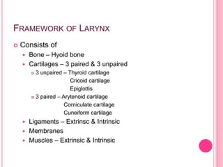 Anatomy of Larynx. . | PPTX