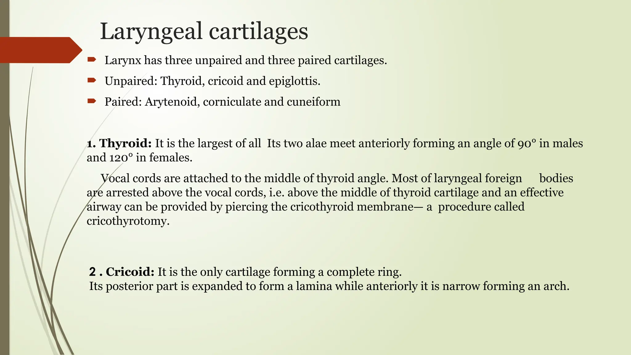 ANATOMY OF LARYNX.pptx, mbbs, ear nose throat | PPTX