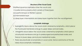 ANATOMY OF LARYNX.pptx, mbbs, ear nose throat | PPTX