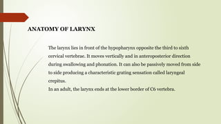 ANATOMY OF LARYNX.pptx, mbbs, ear nose throat | PPTX