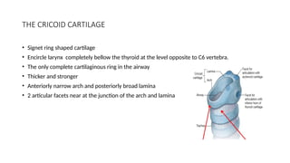 ANATOMY OF LARYNX-.pptx anatomy of larynx notes | PPTX