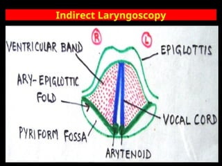 Anatomy of Larynx.ppt Dr. Krishna Koirala | PPT