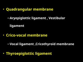 Anatomy of Larynx.ppt Dr. Krishna Koirala | PPT