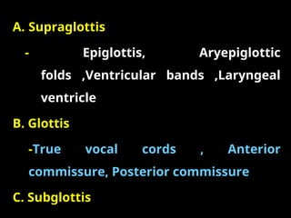 Anatomy of Larynx.ppt Dr. Krishna Koirala | PPT