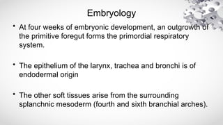 THE ANATOMY OF HUMAN LARYNX BY MBK .pptx