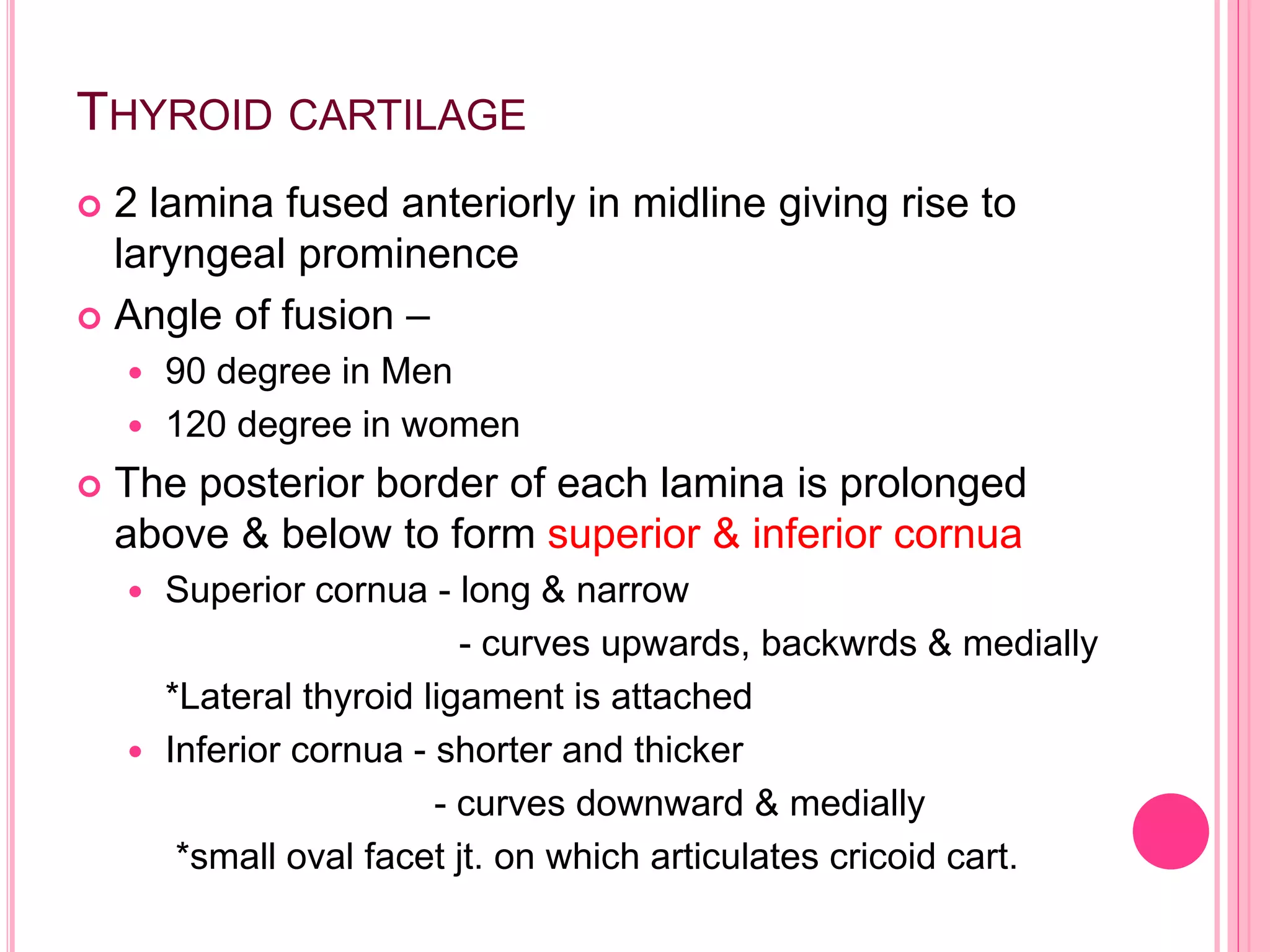Anatomy of Larynx | PPTX
