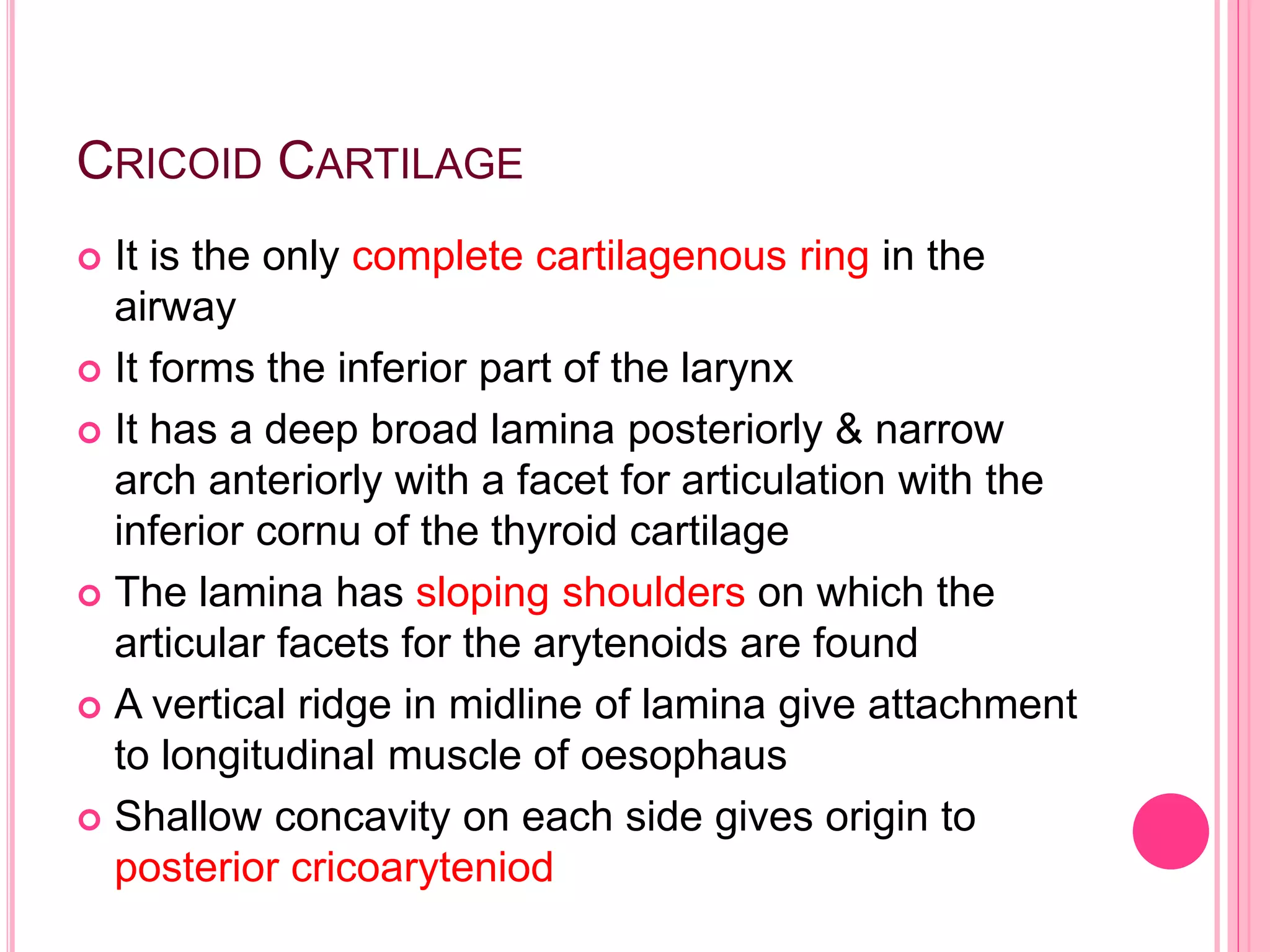 Anatomy of Larynx | PPTX