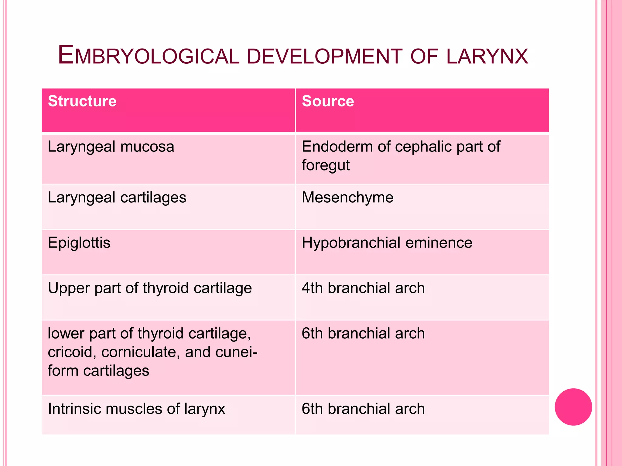 Anatomy of Larynx | PPTX