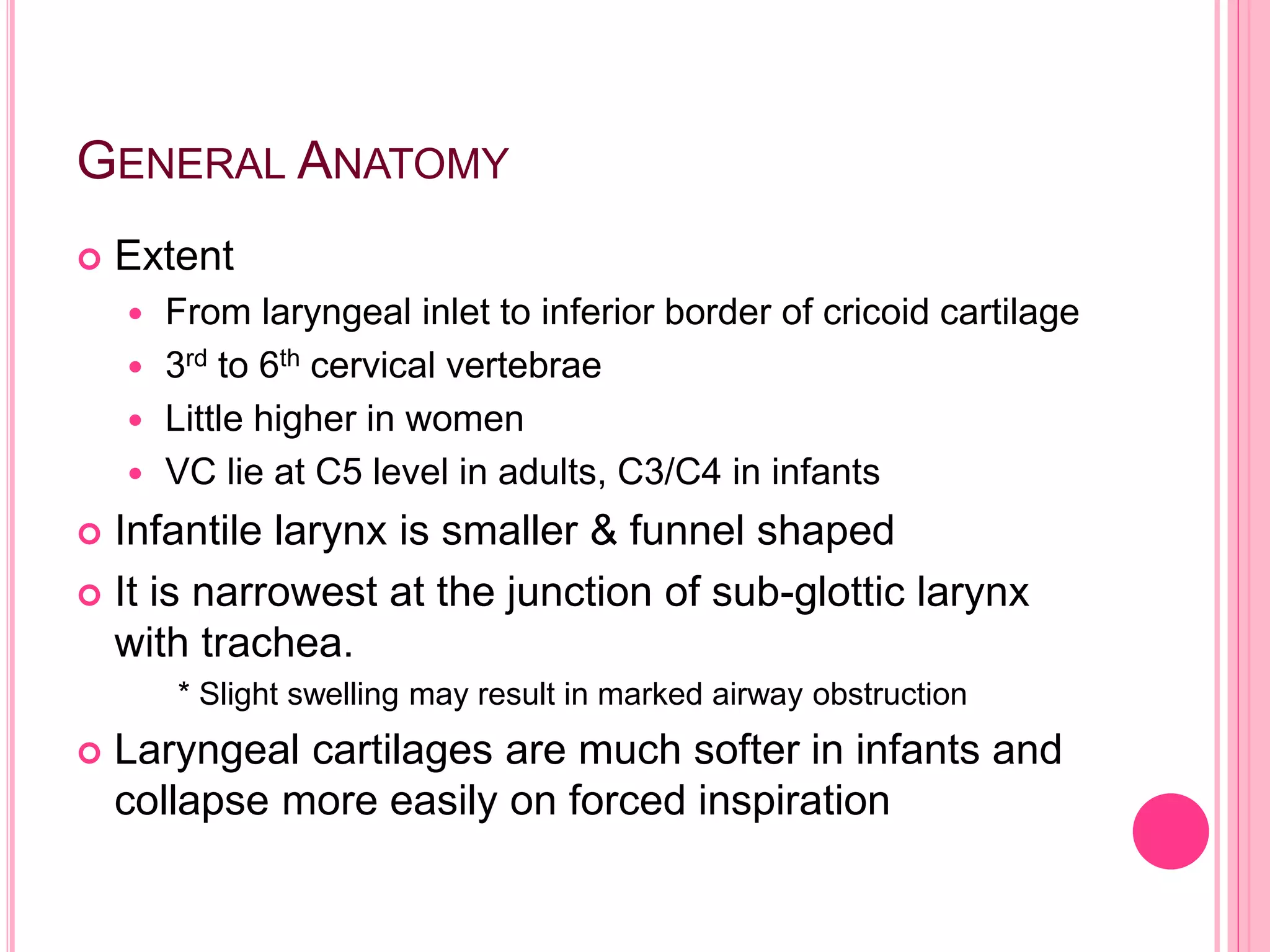 Anatomy of Larynx | PPTX