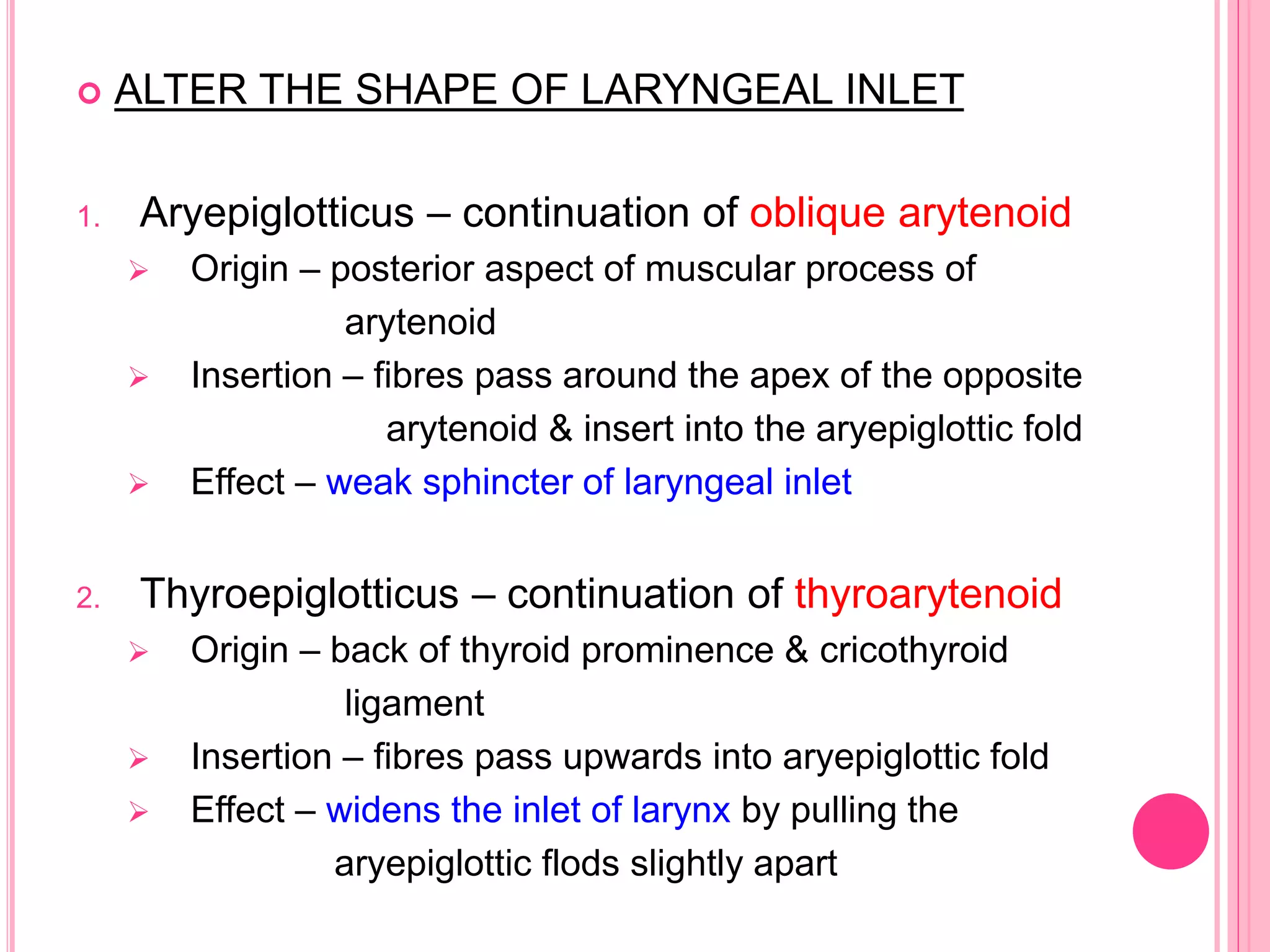Anatomy of Larynx | PPTX