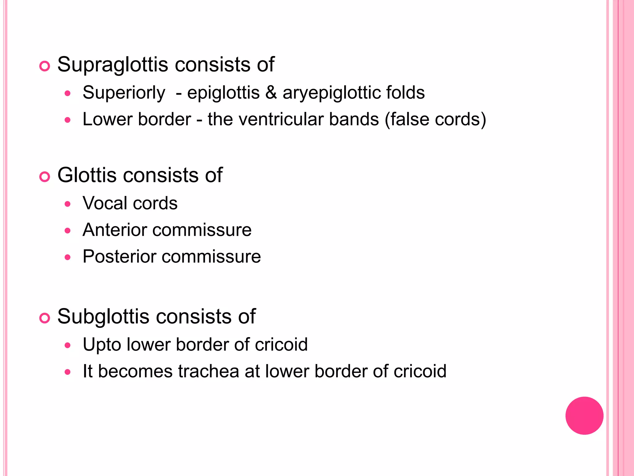 Anatomy of Larynx | PPTX
