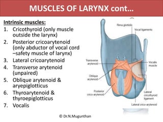 Anatomy of Larynx Prof.Dr.N.Mugunthan | PPT