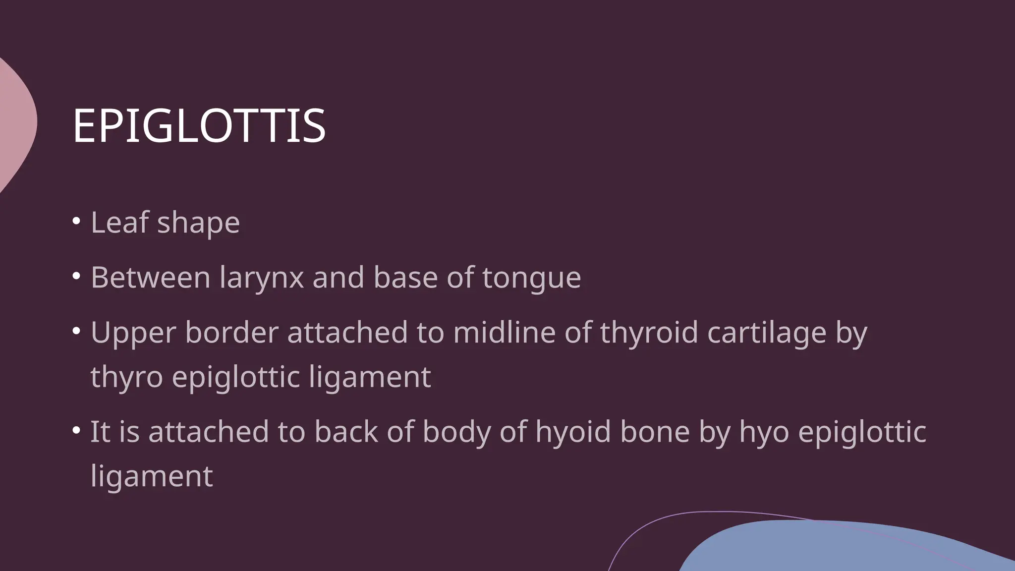 anatomy of larynx (Anatomy of Larynx) ppt | PPTX