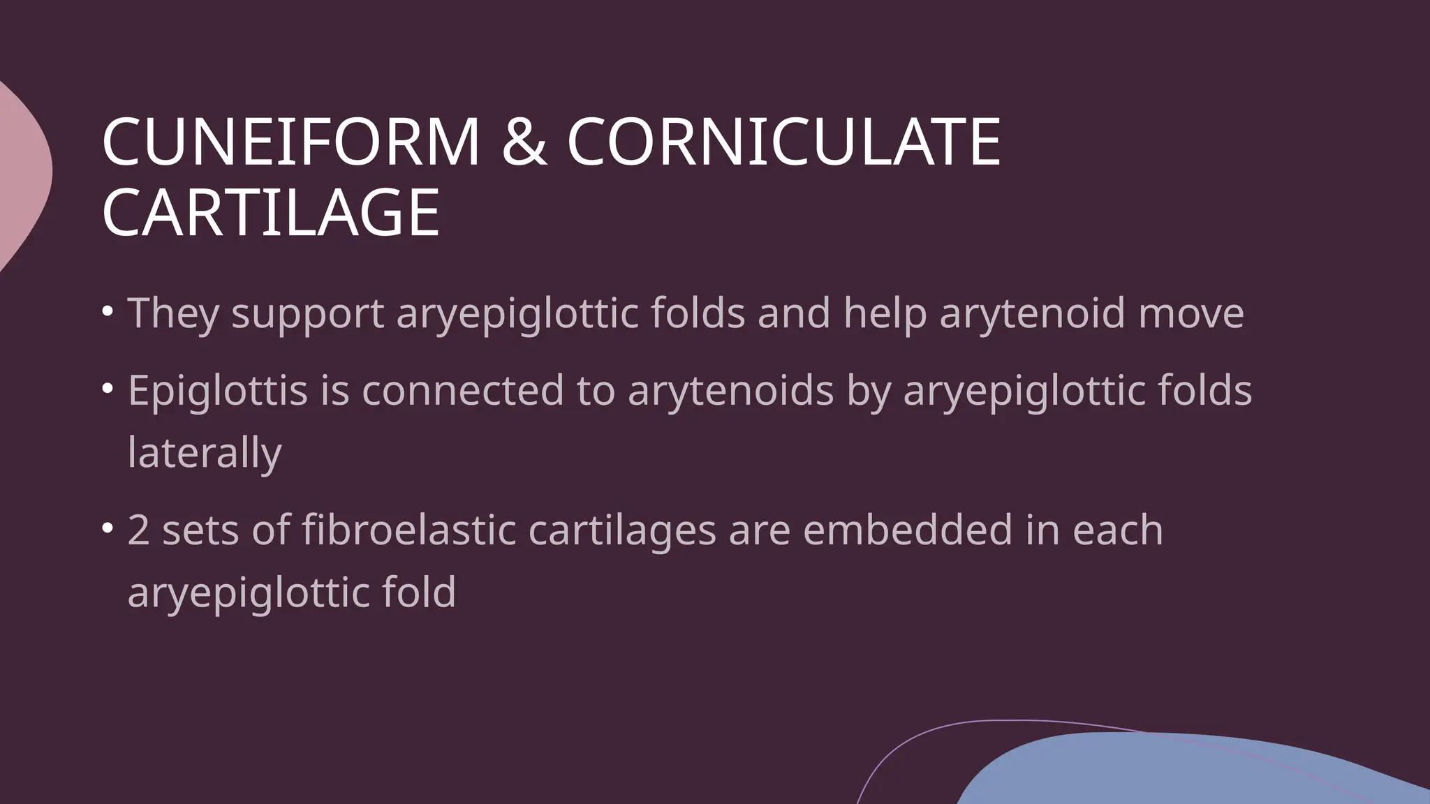 anatomy of larynx (Anatomy of Larynx) ppt | PPTX