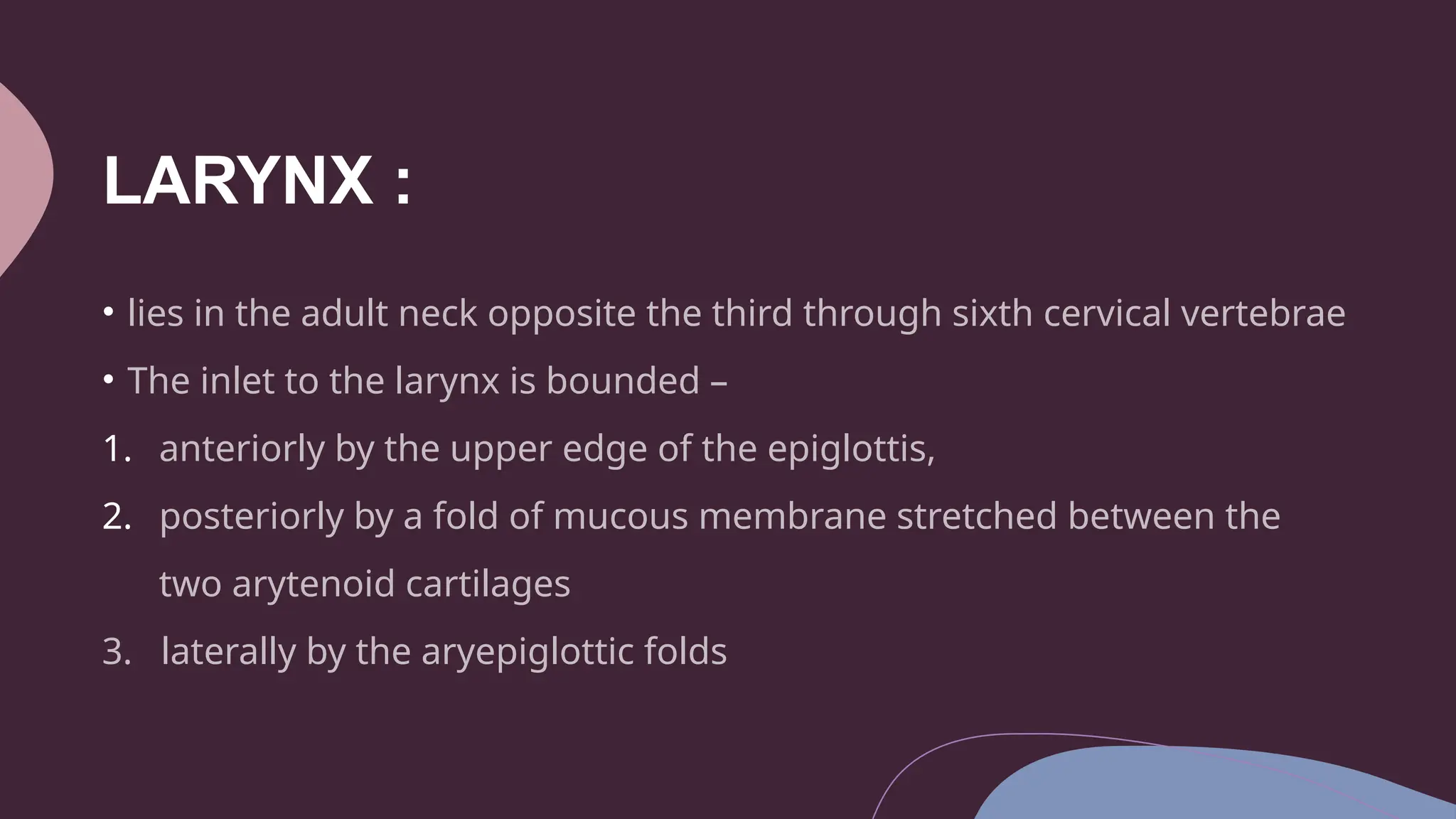 anatomy of larynx (Anatomy of Larynx) ppt | PPTX
