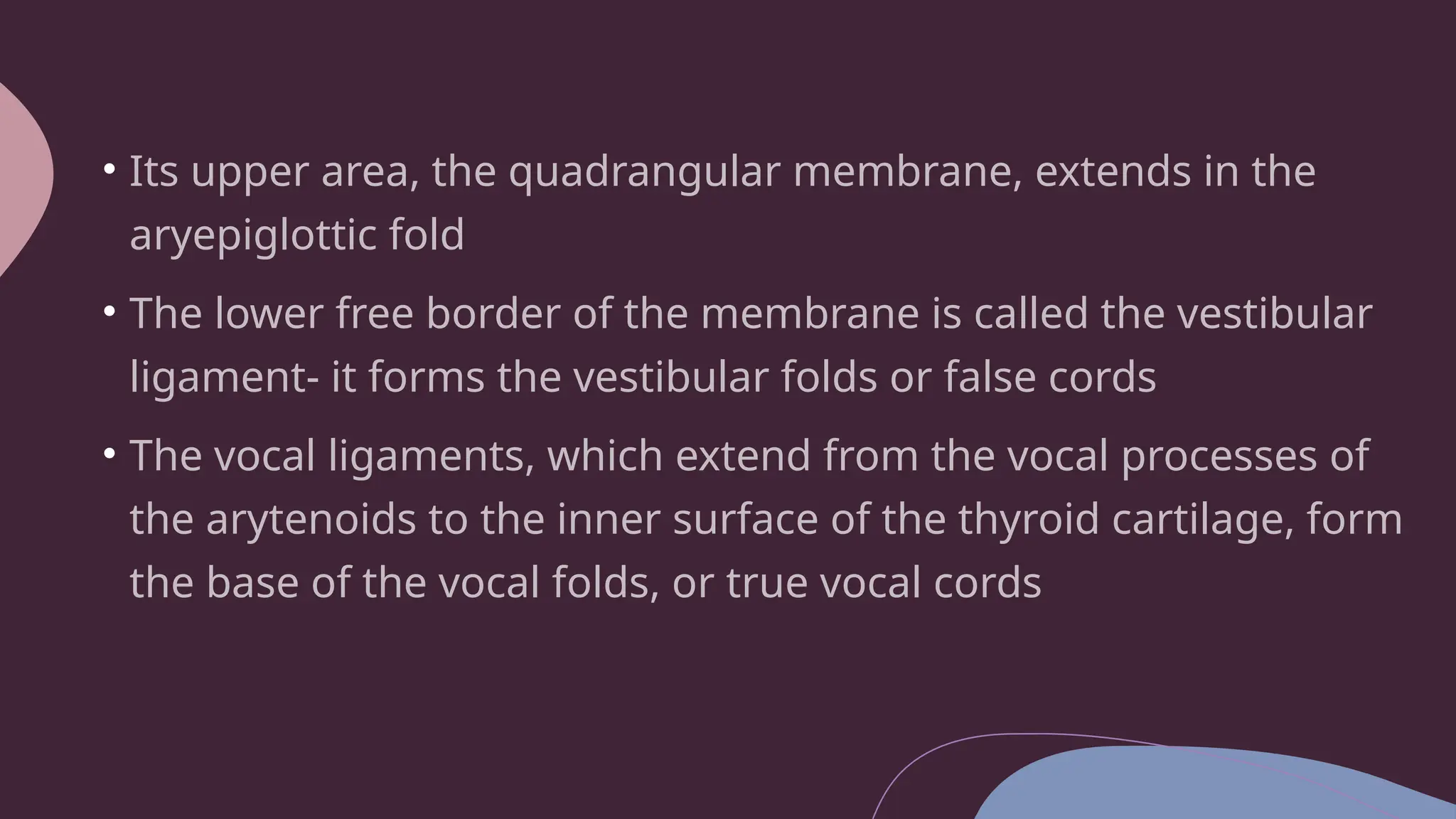 anatomy of larynx (Anatomy of Larynx) ppt | PPTX