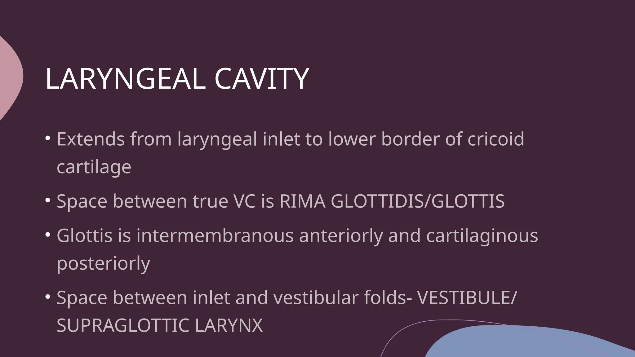 anatomy of larynx (Anatomy of Larynx) ppt | PPTX