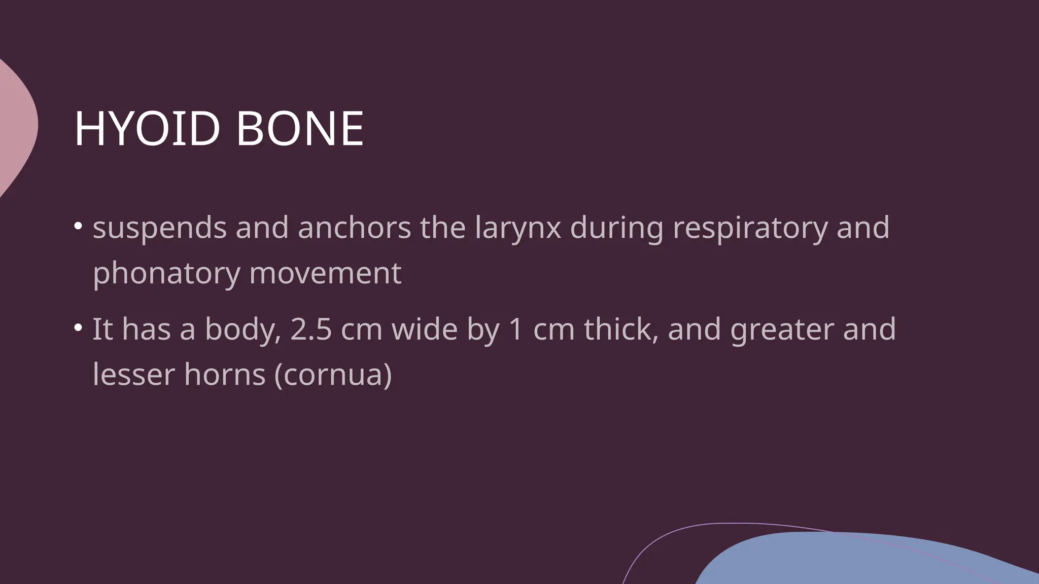 anatomy of larynx (Anatomy of Larynx) ppt | PPTX