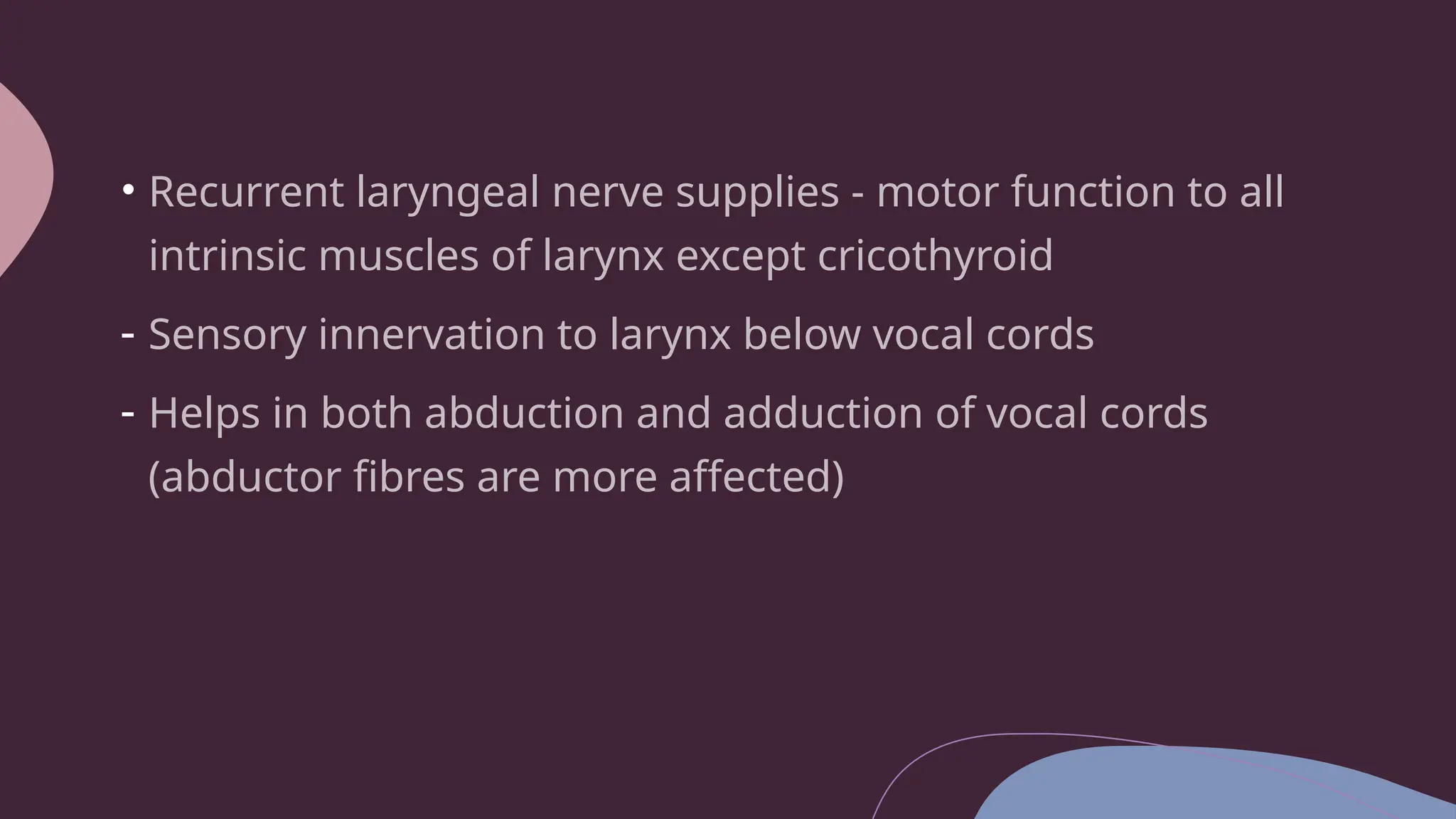 anatomy of larynx (Anatomy of Larynx) ppt | PPTX