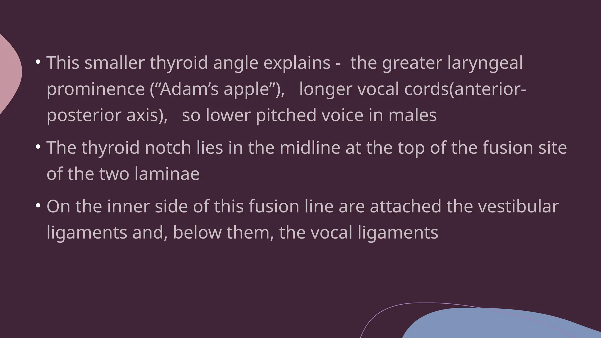 anatomy of larynx (Anatomy of Larynx) ppt | PPTX