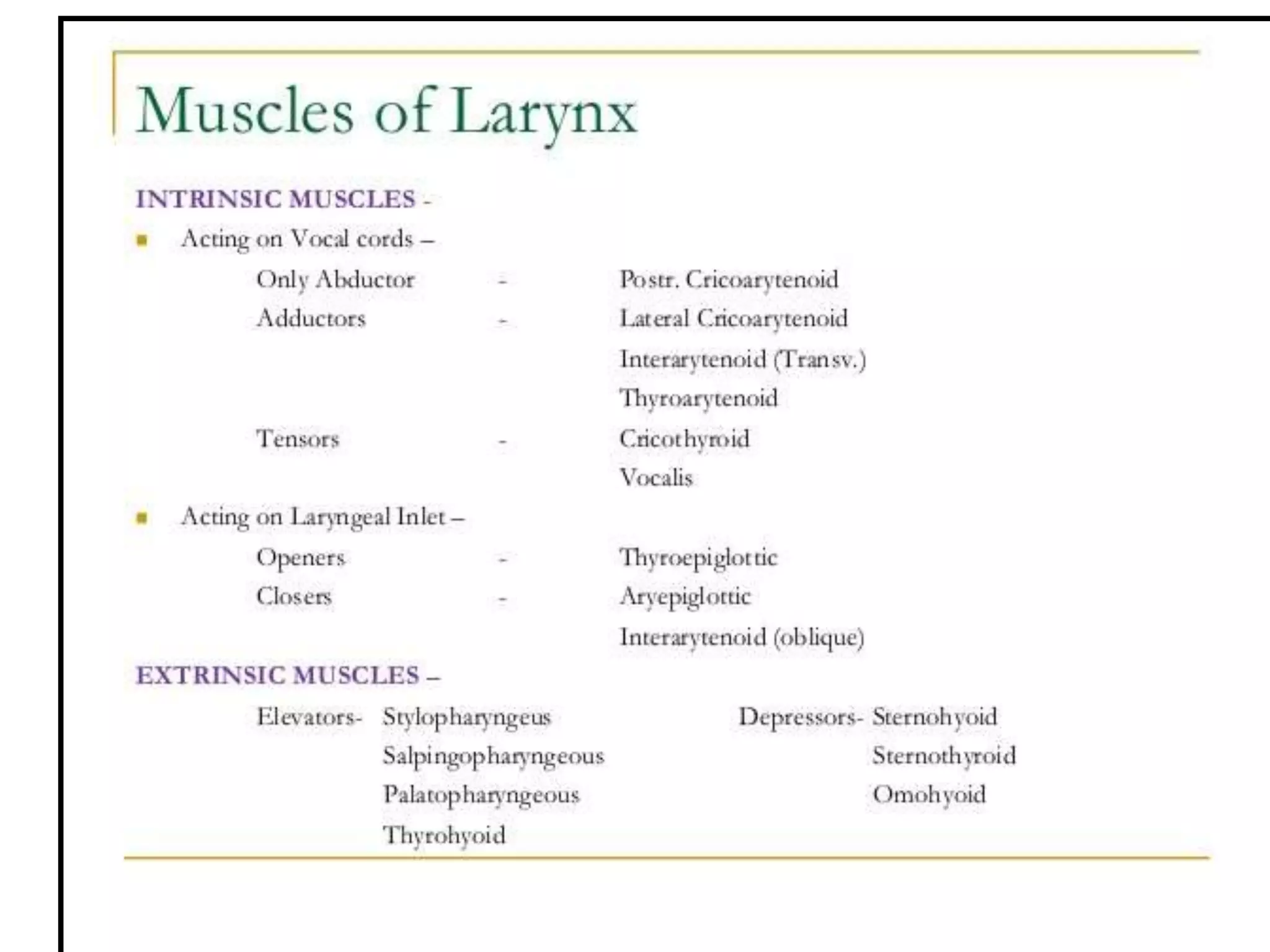 Anatomy of Larynx | PPTX