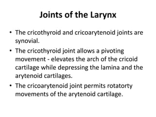 Anatomy of Larynx | PPTX