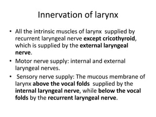 Anatomy of Larynx | PPTX