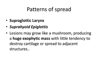 Anatomy of Larynx | PPTX