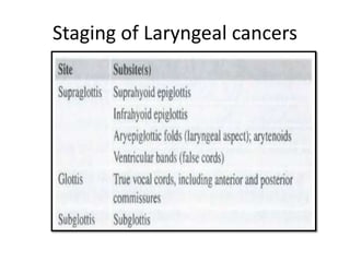 Anatomy of Larynx | PPTX