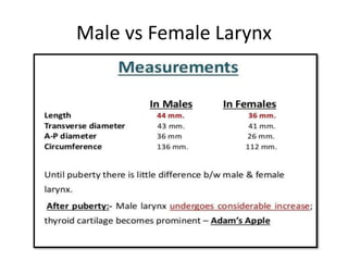 Anatomy of Larynx | PPT