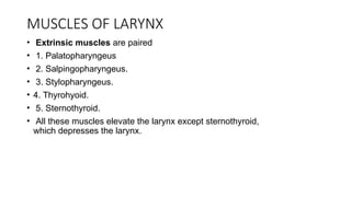anatomy of larynx and bronchopulmonary segments- hemalatha.pptx