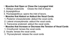 anatomy of larynx and bronchopulmonary segments- hemalatha.pptx
