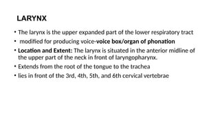 anatomy of larynx and bronchopulmonary segments- hemalatha.pptx