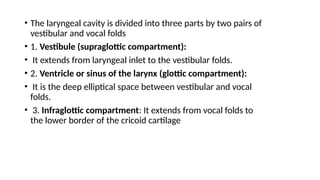anatomy of larynx and bronchopulmonary segments- hemalatha.pptx