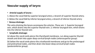 anatomy of larynx and bronchopulmonary segments- hemalatha.pptx