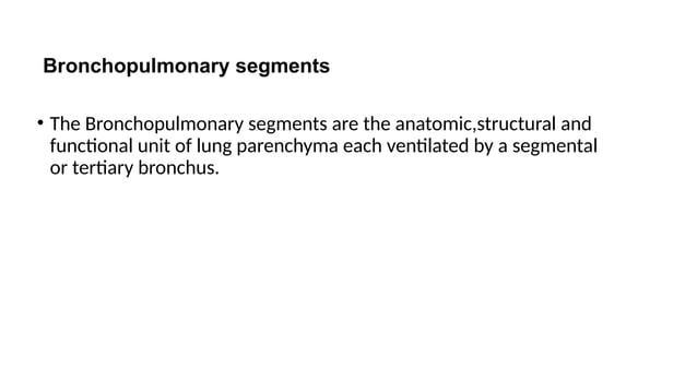 anatomy of larynx and bronchopulmonary segments- hemalatha.pptx