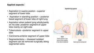 anatomy of larynx and bronchopulmonary segments- hemalatha.pptx