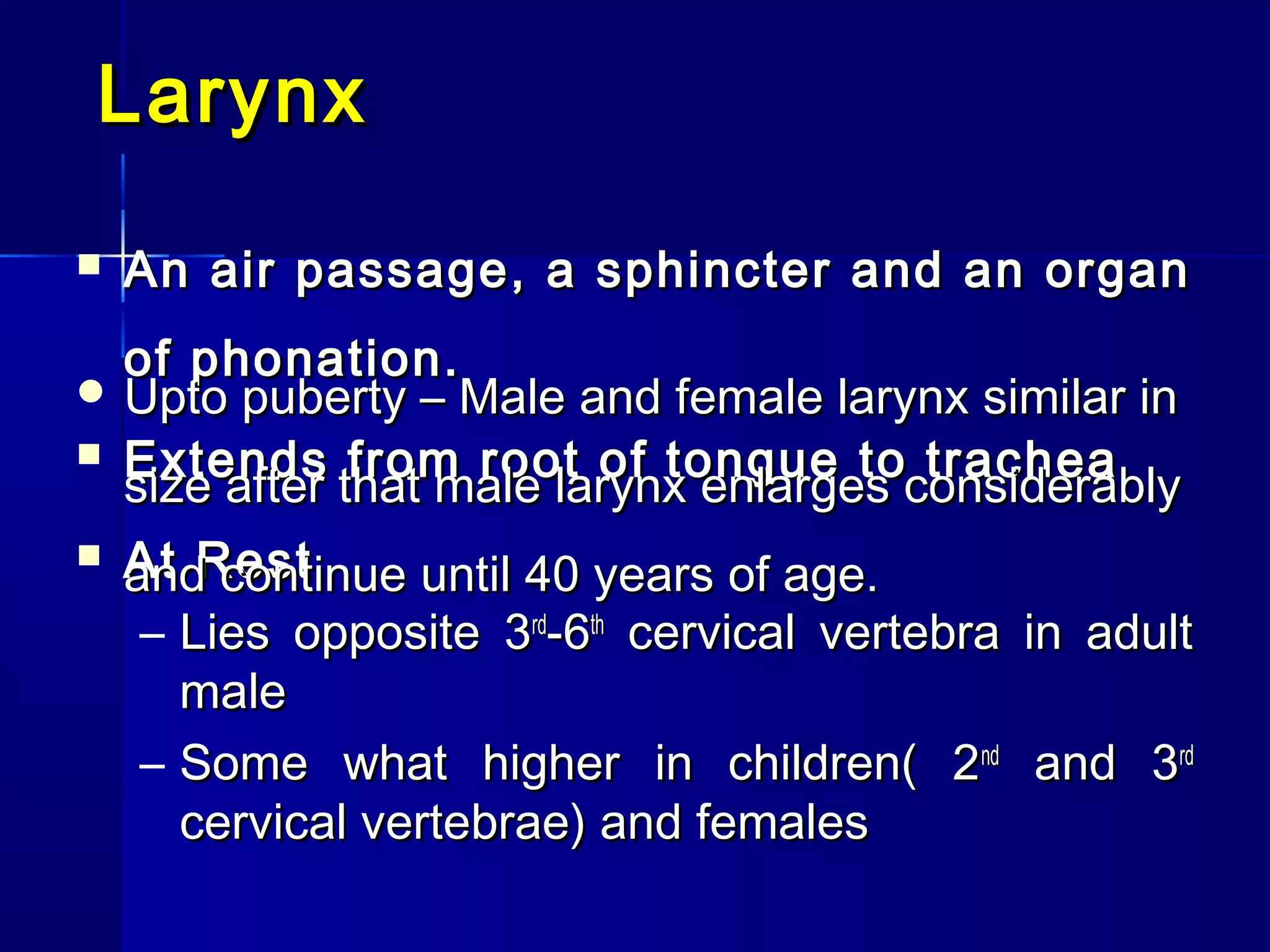 Anatomy of larynx and its anaesthetic importance | PPT