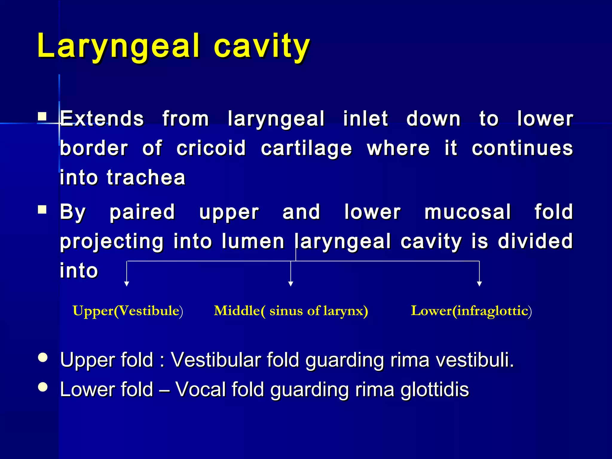 Anatomy of larynx and its anaesthetic importance | PPT