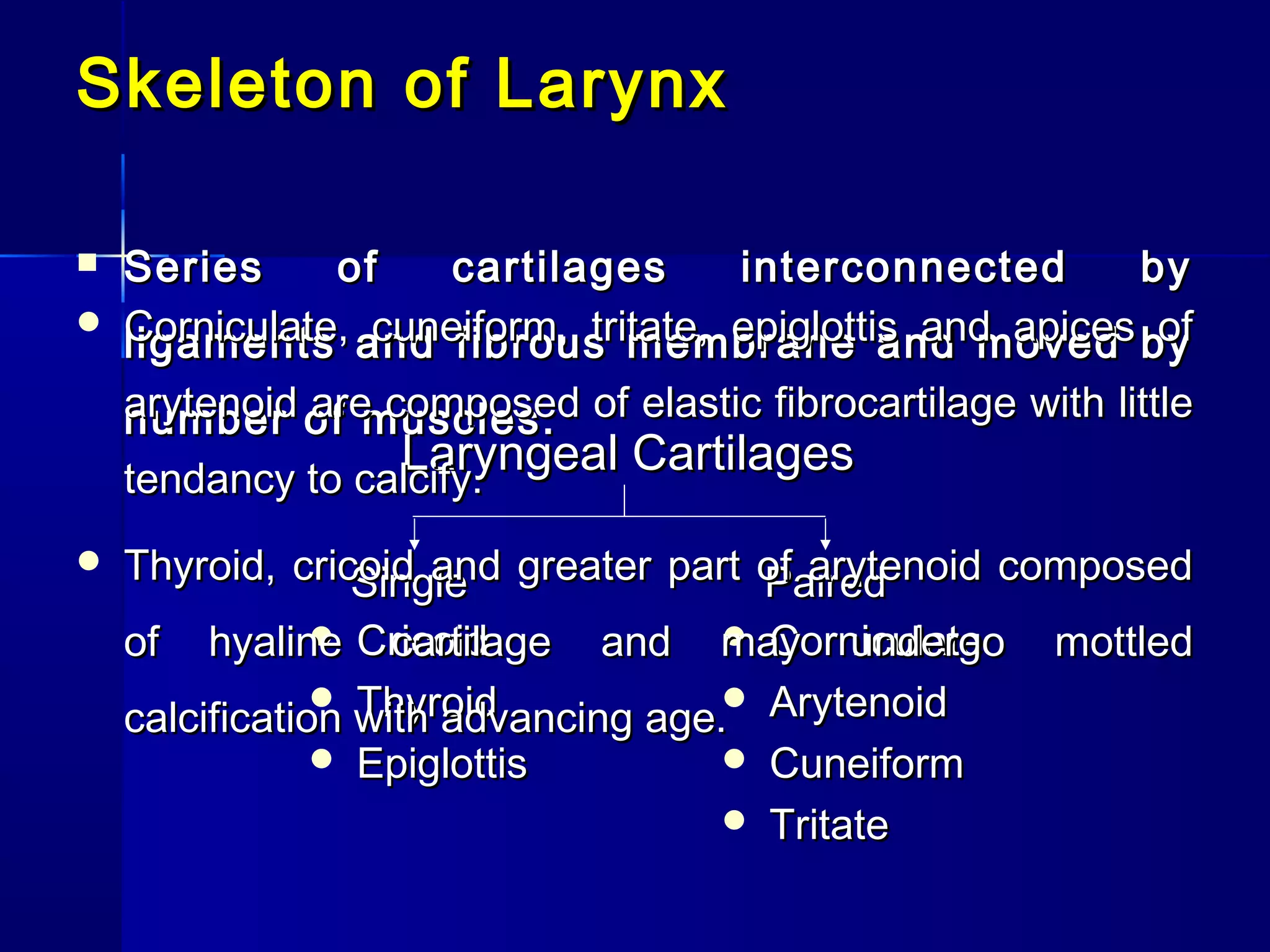 Anatomy of larynx and its anaesthetic importance | PPT