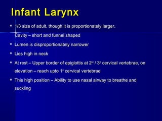 Anatomy of larynx and its anaesthetic importance | PPT
