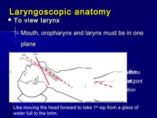 Anatomy of larynx and its anaesthetic importance | PPT