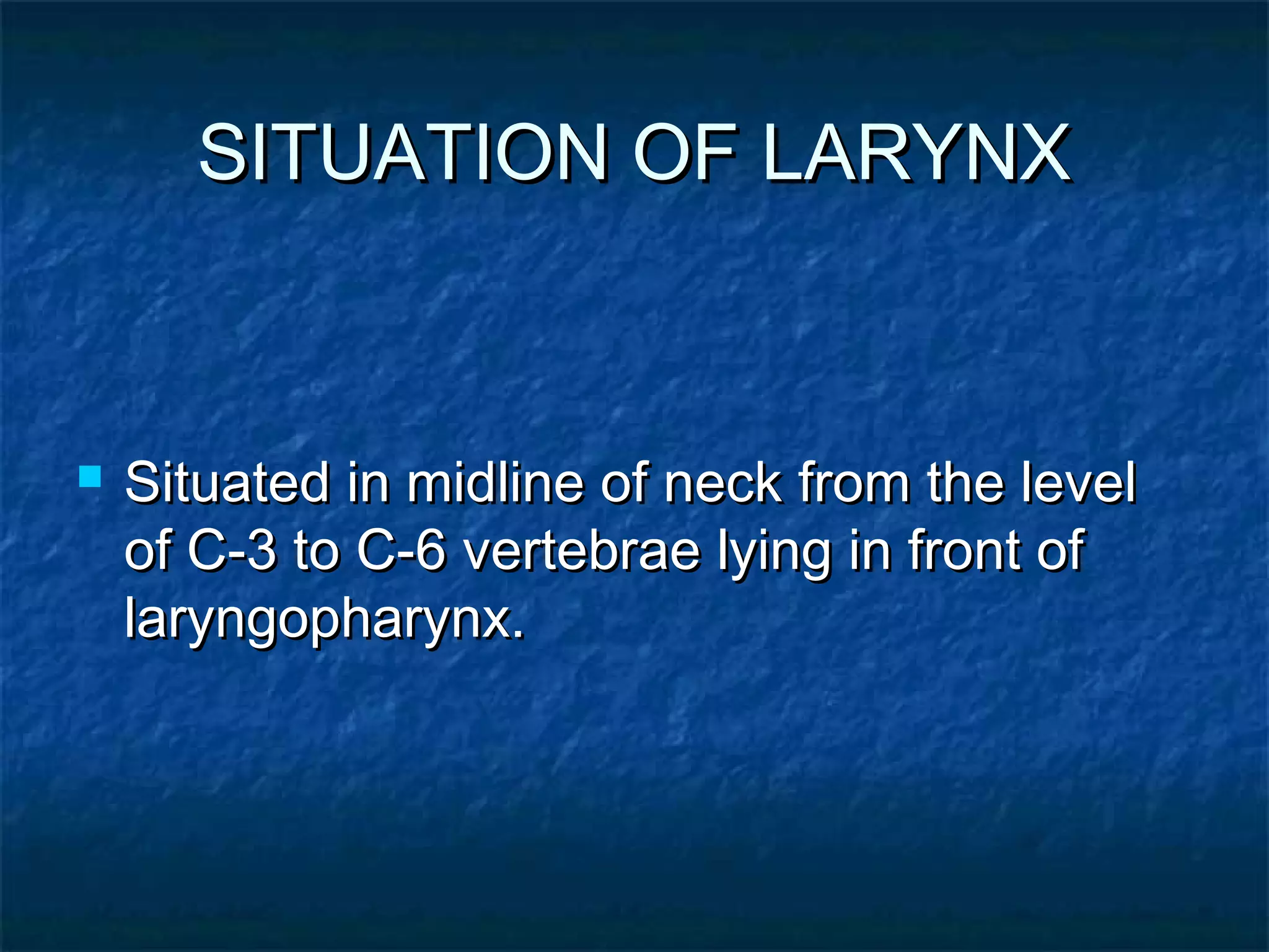 Anatomy of larynx and trachea final | PPT