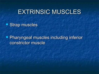 Anatomy of larynx and trachea final | PPT
