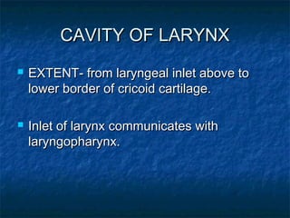 Anatomy of larynx and trachea final | PPT