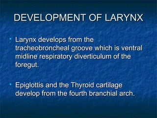 Anatomy of larynx and trachea final | PPT
