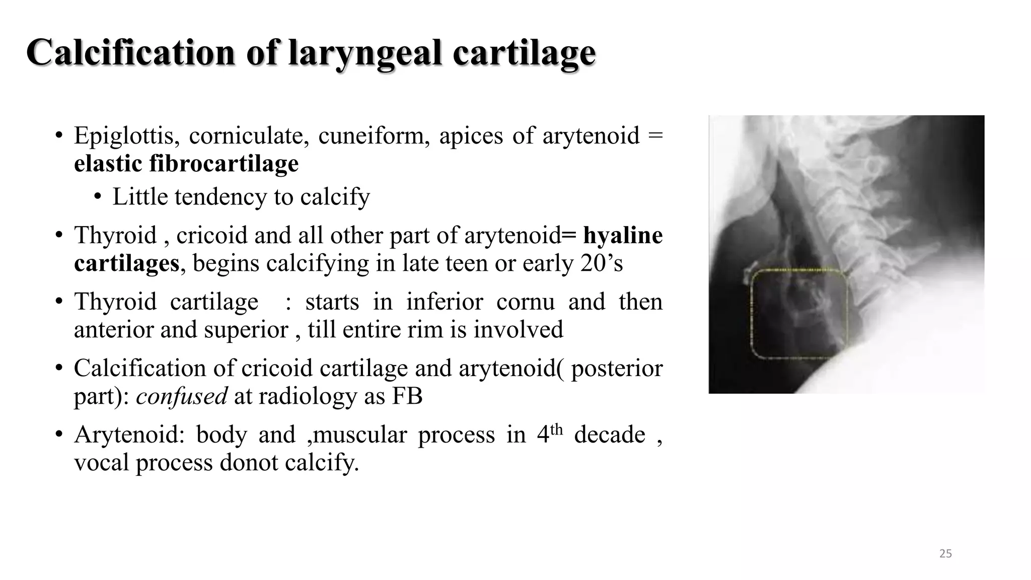 Anatomy of larynx and tracheobronchial tree | PPTX