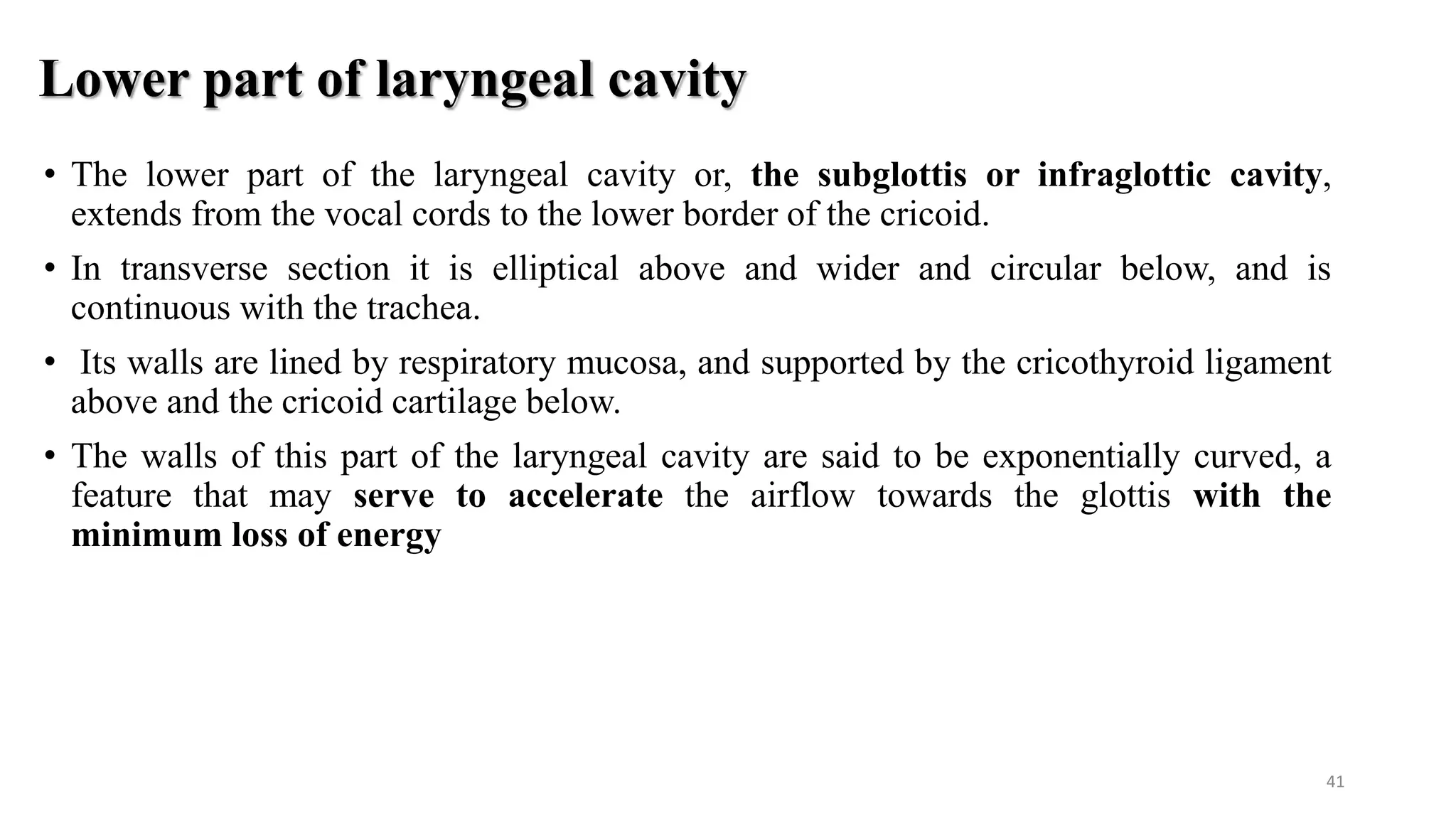 Anatomy of larynx and tracheobronchial tree | PPTX