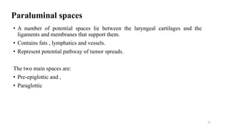 Anatomy of larynx and tracheobronchial tree | PPTX